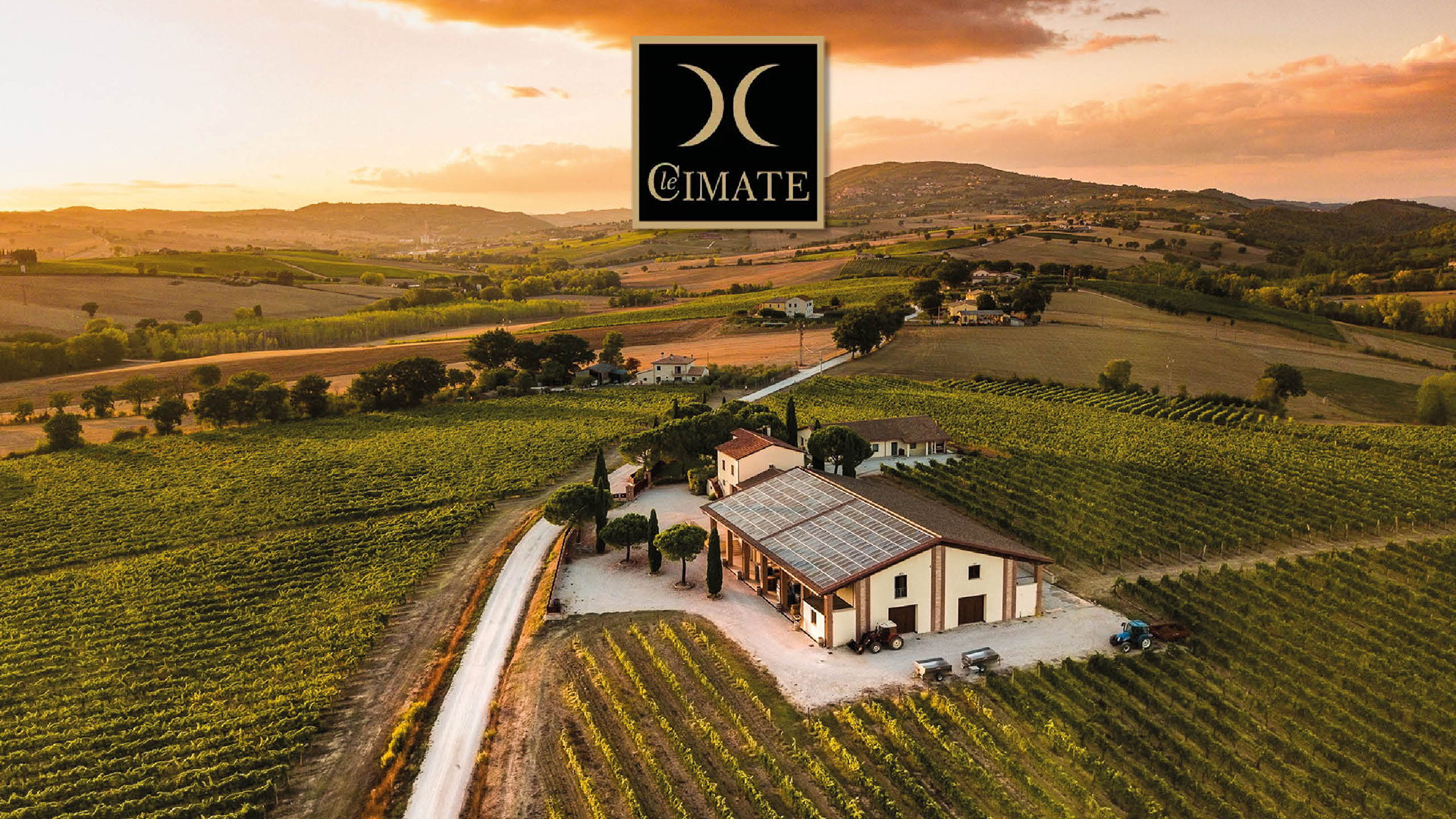 Le Cimate: la passione per il vino tramandata da generazioni - Gioia Spa